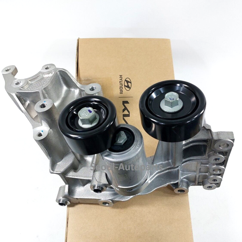 Free DHL 252802G105 OEM Belt Tensioner For HYUNDAI Santa Fe, KIA ...