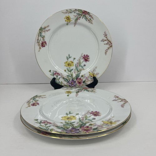 Vintage Kent China Springfield Dinner Plate 10.75” Floral Gold Trim Set ...