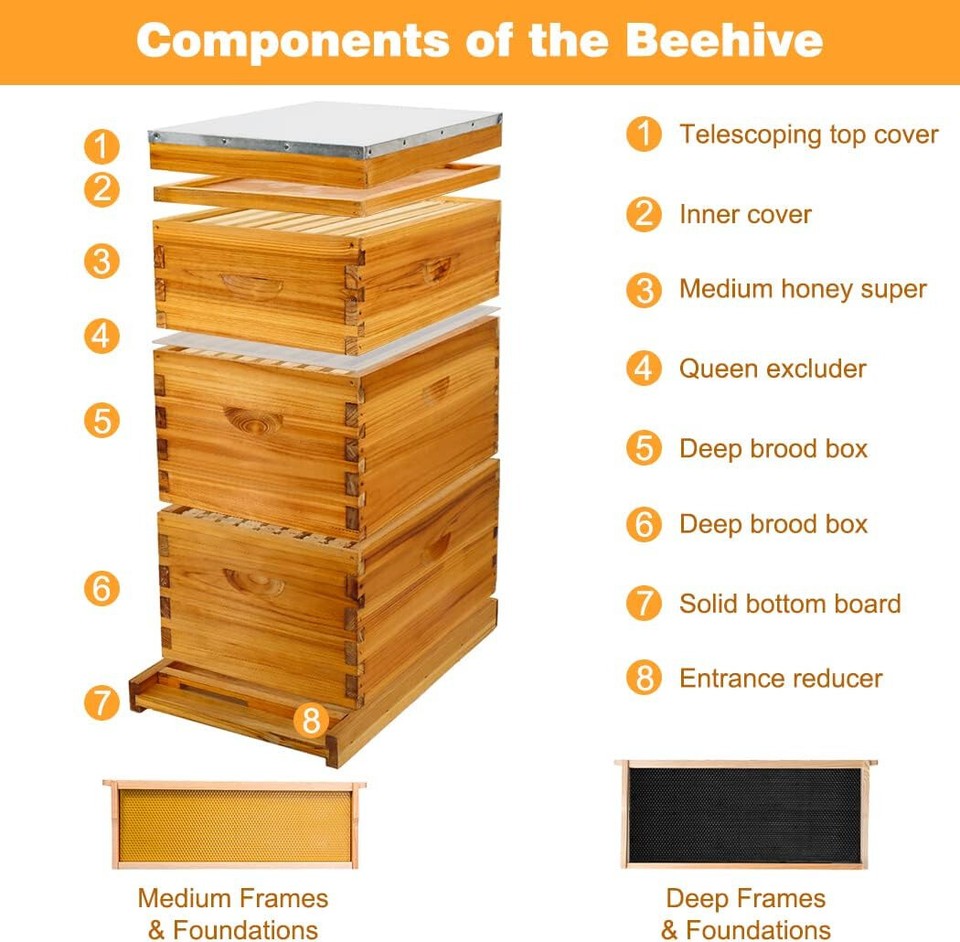 8 Frame Bee Hive Kit, Langstroth Bee Hives Boxes Starter Kit with ...
