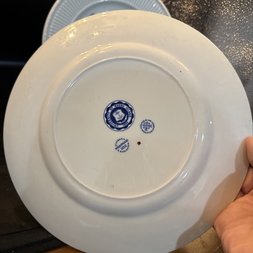 wedgwood edme dinner plates Set 2 University Of Rhode Island | eBay