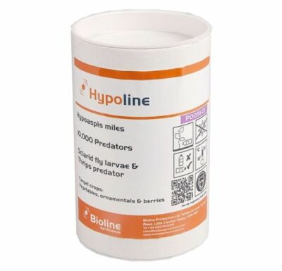Hypoline M - Organic Sciarid Fly Pest Control x 10,000 Larvae | eBay UK