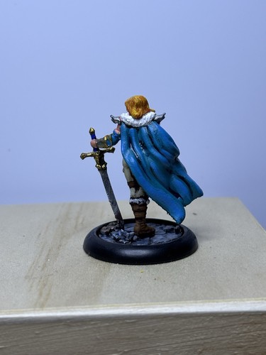 28mm Fighter Miniature Pathfinder 5 Ed Dungeons & Dragons Painted | eBay