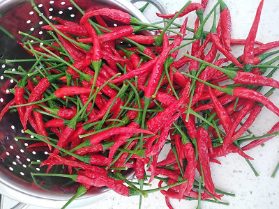 Thai Dragon Chilli Seeds - 20 Fresh Thai Dragon Pepper Seeds | eBay