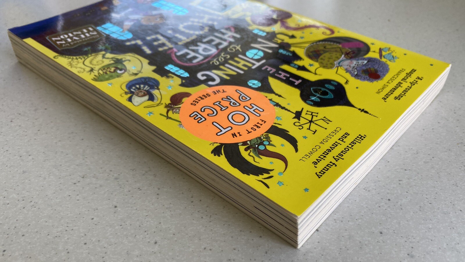 NEW Nothing to See Here Hotel by Steven Butler - Children Book Novel ...