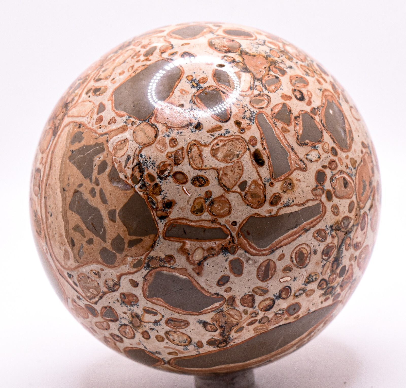 3.5" Leopardite Jasper Sphere Polished Natural Rhyolite Crystal Mineral ...