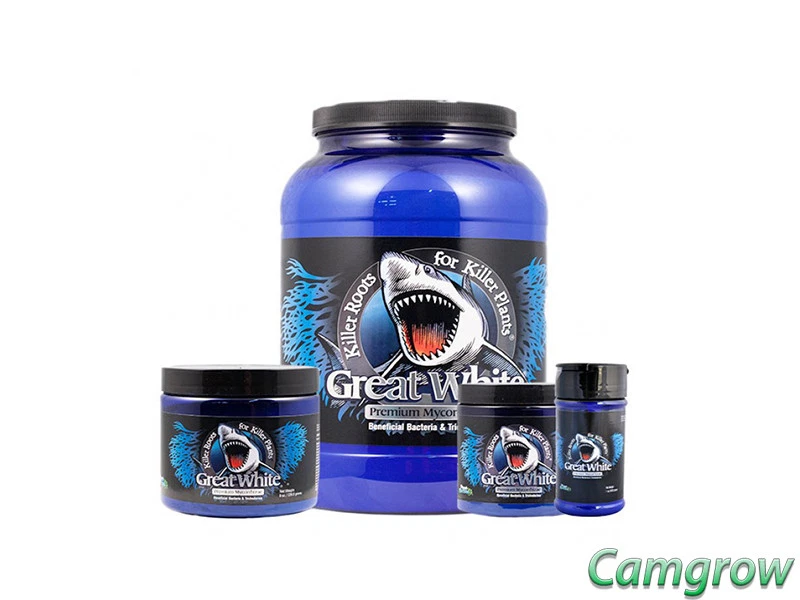 Great White Mycorrhizae During Flowering | Best Flower Site