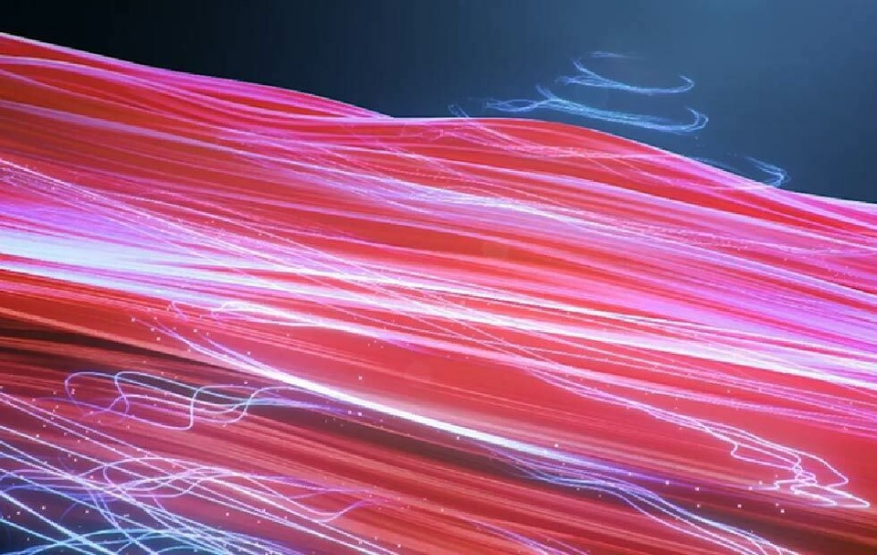 YA-MAN Bloom Bloom WR STAR Yaman ACE Pro RF EMS Beauty machine Japan ...