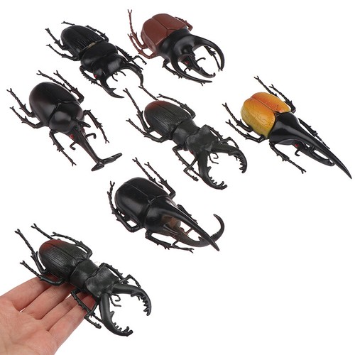 Simulation beetle Toys Special Lifelike Model insect Toy teaching aids ...
