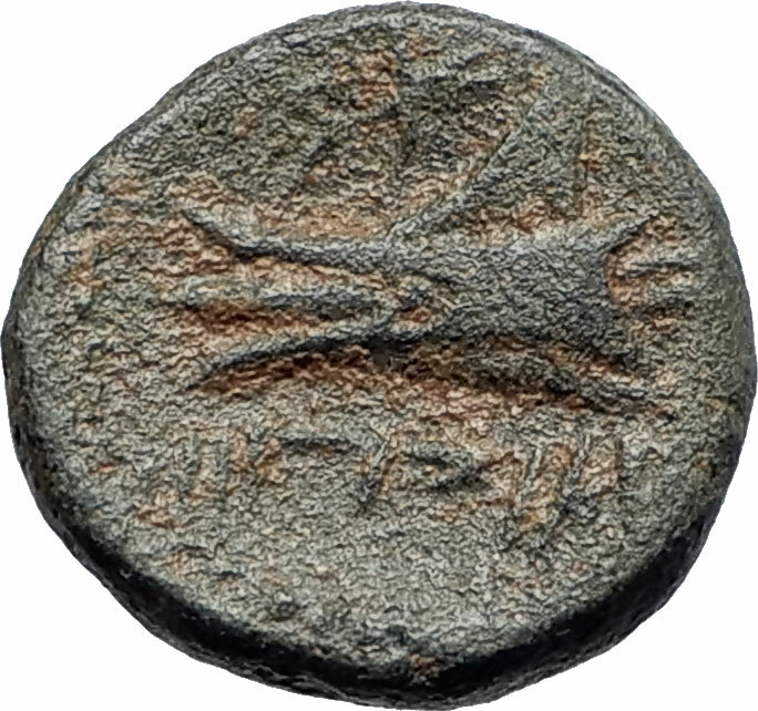 ARADOS in PHOENICIA Authentic Ancient 206BC Greek Coin w ZEUS & GALLEY ...