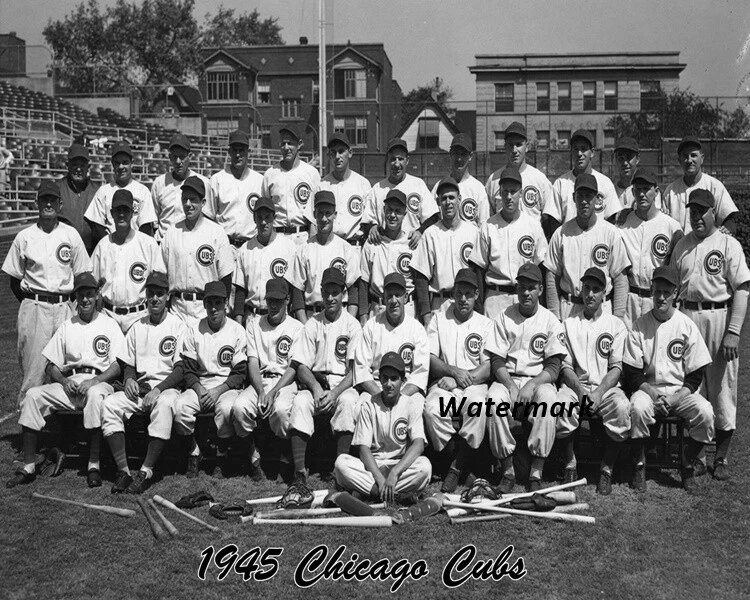 Chicago Cubs Black And White