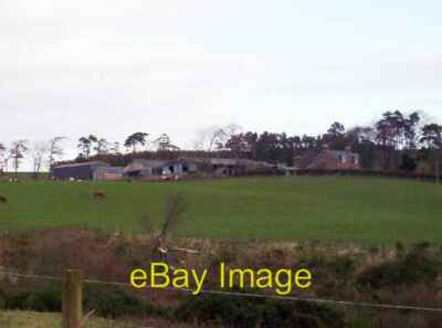 Photo 6x4 Margie Farm Balfield c2005 | eBay UK