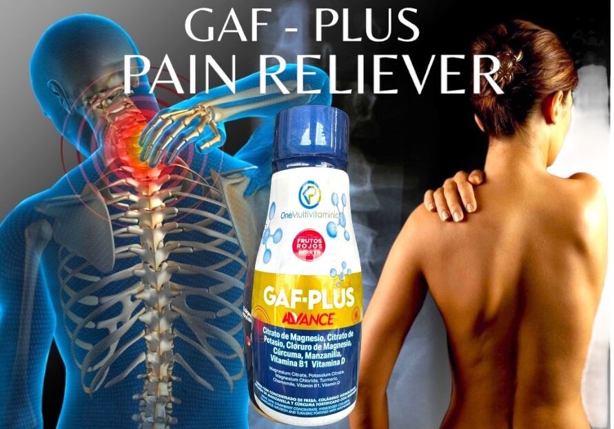 GAF-PLUS Arthritis Pain Relief / Anti Inflammatory / Dietary Supplement ...