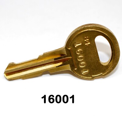 16001 DKS Doorking Replacement Key... | eBay