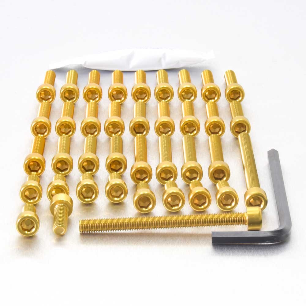 Screws Kit Engine Trophy 900 91-95 Gold | eBay