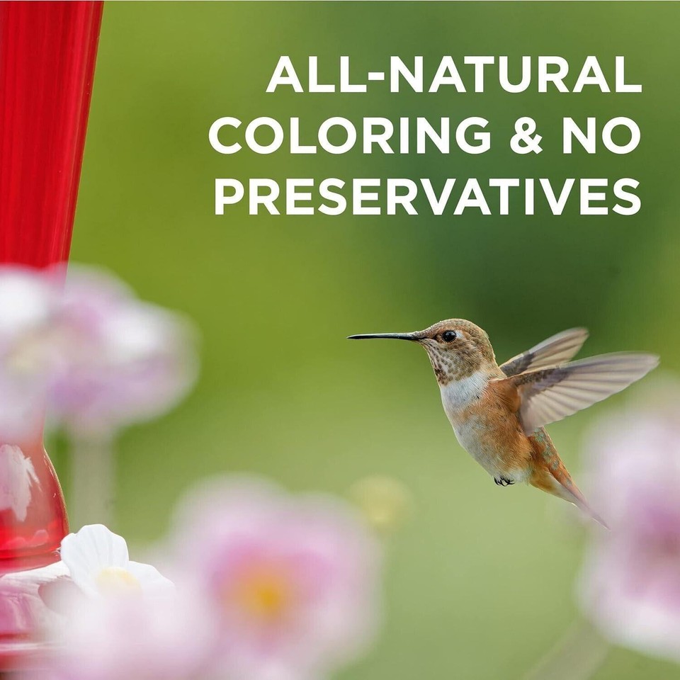 Audubon Park Hummingbird Food Wild Bird Nectar Hummingbird Food for ...