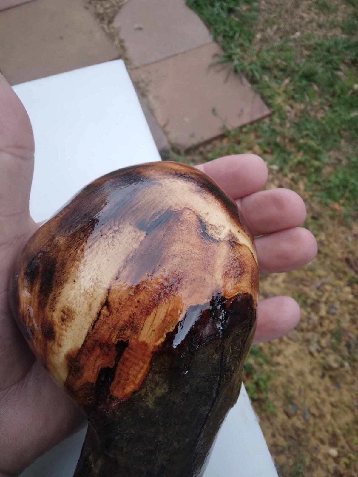 Hickory wood root burl ball fish tire knocker shillelagh cudgel warclub ...