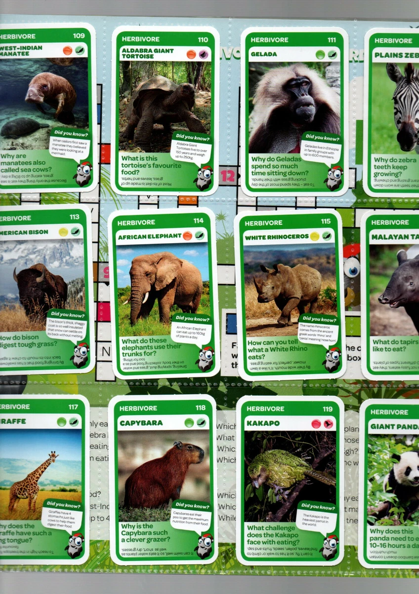 Aussie Animal Cards Album Woolworths
