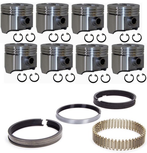 .060 Piston set of 8 Pistons & Hastings Moly Rings for 1968-1976 FE ...