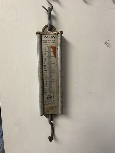 Vintage Hanson Model No. 8920 200 lb Capacity | eBay