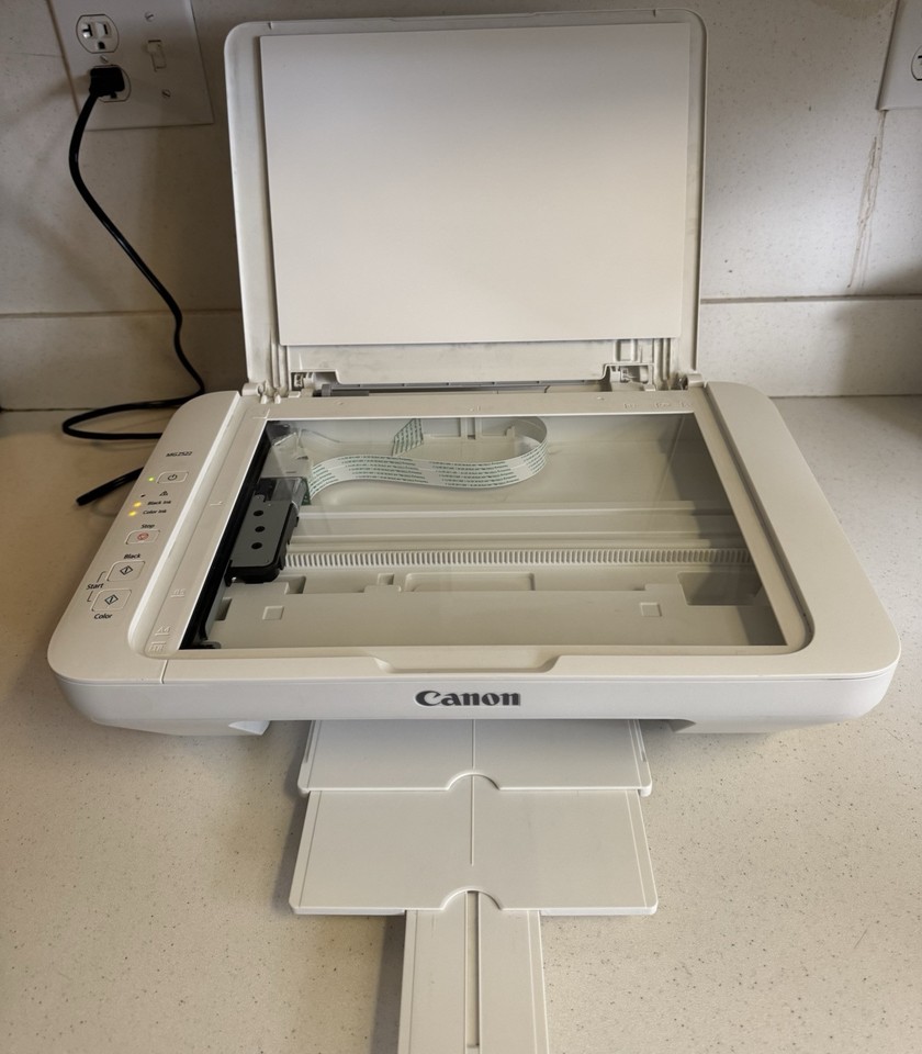 Canon PIXMA MG2522 All-In-One Printer - White | eBay