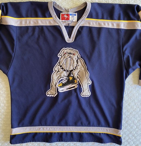 Lutch Long Beach Ice Dogs Authentic RARE Jersey 40 Excellent (22x26) | eBay