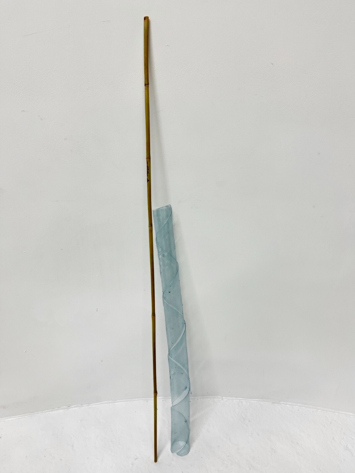 500 Spiral Rabbit Tree Hedge Guards 60cm & 500 3ft canes for plant ...