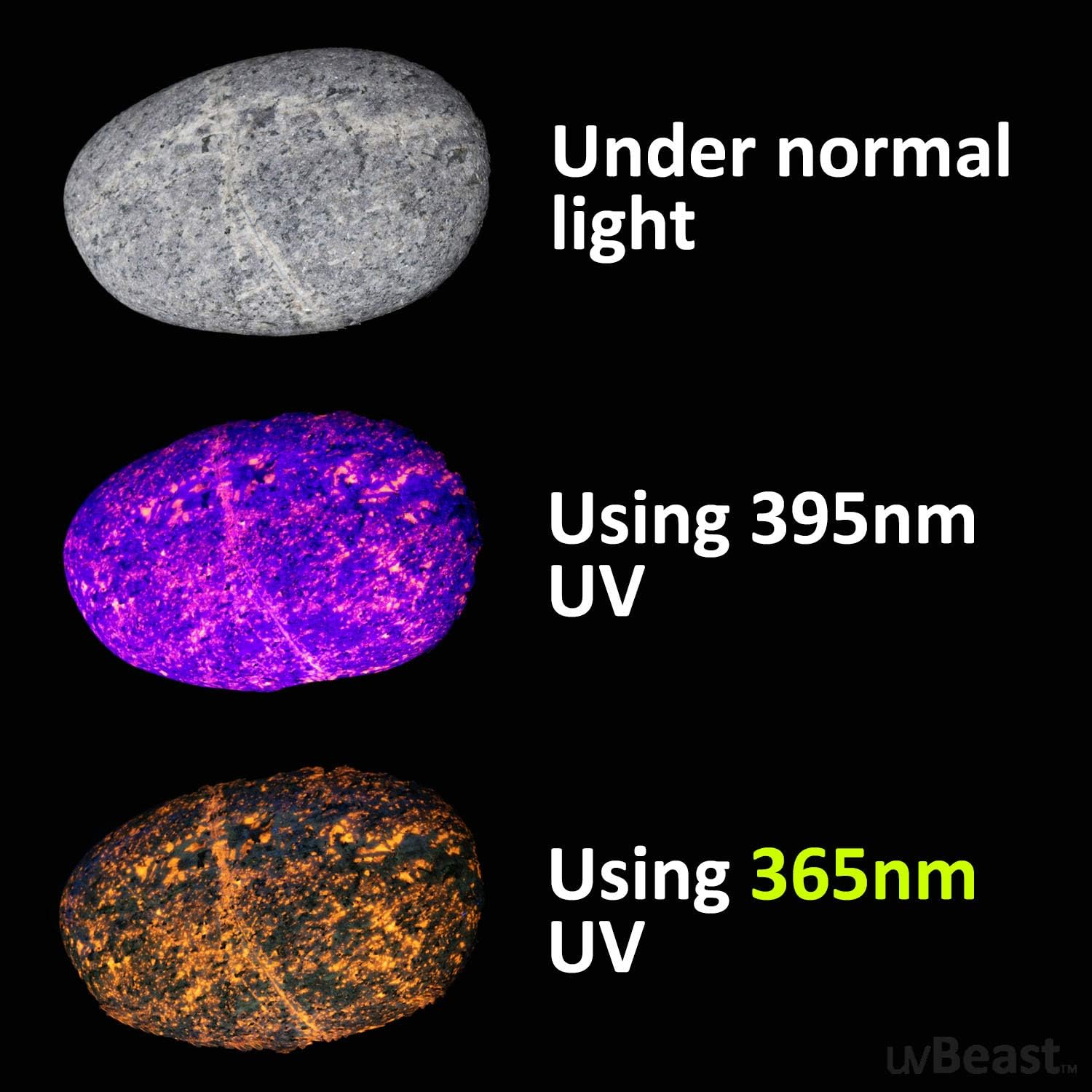Uvbeast Black Light UV Flashlight NEW V3 365Nm MINI HIGH DEFINITION ...