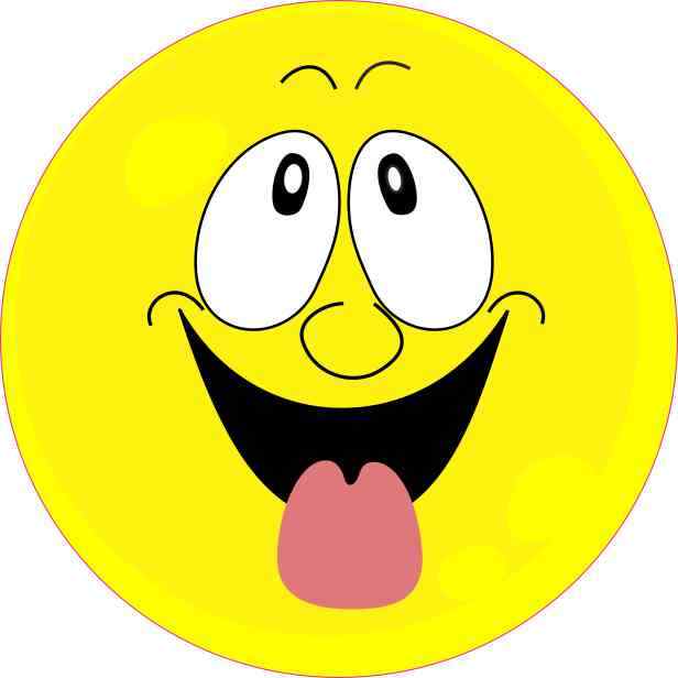 4×4 Silly Face Sticker Vehicle Bumper Stickers Vinyl Decal Cup Funny ...