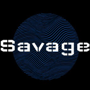 Savage Retail Liquidations | eBay Stores