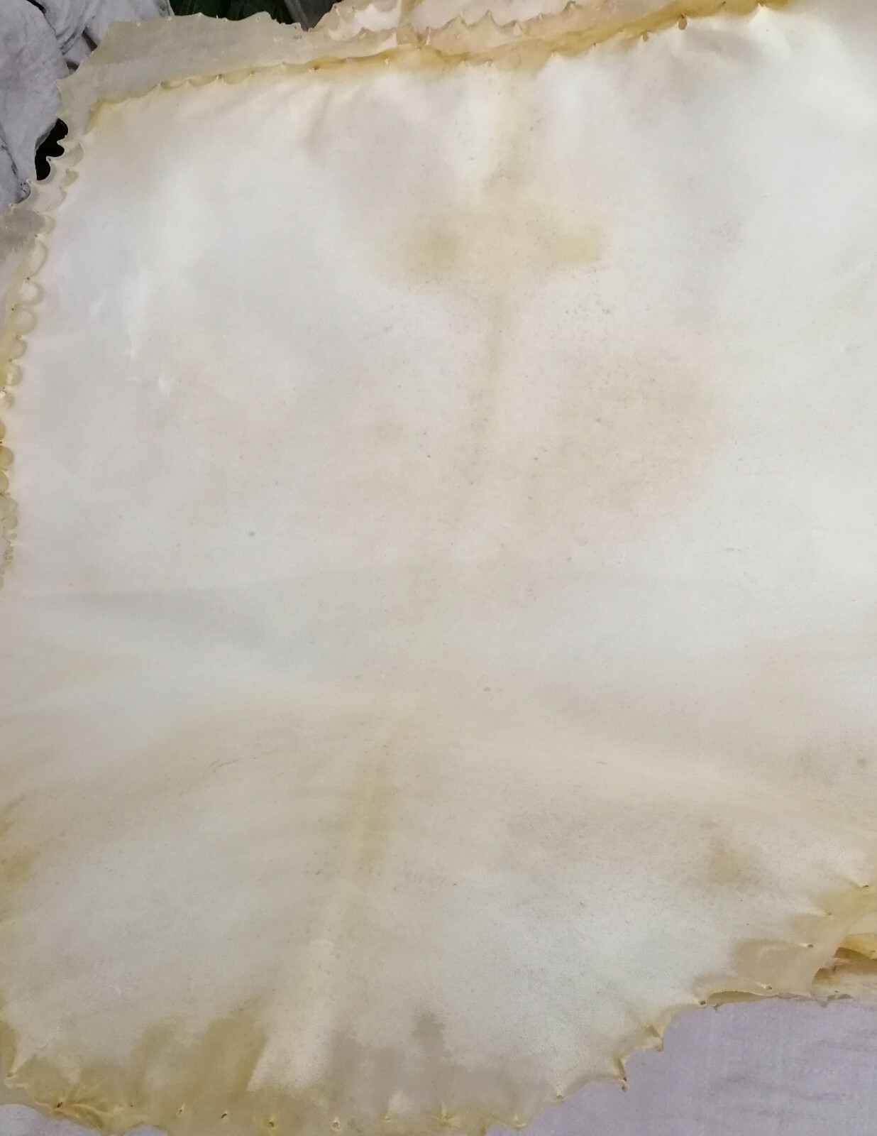 Vellum parchment goat skin natural white for furniture calligraphy book ...