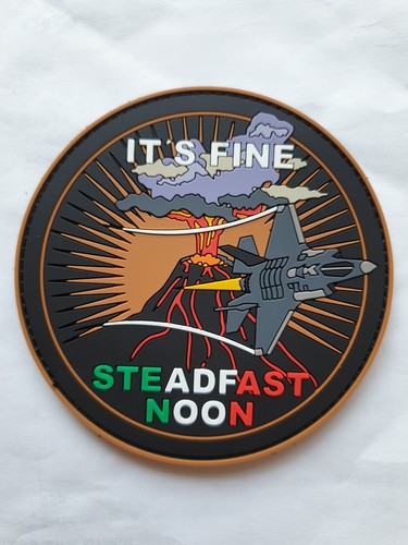 US Air Force Patch 495th Fighter Squadron USAF Steadfast Noon 2023 ...
