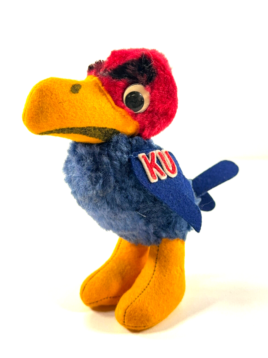 Jayhawk Real Bird Sealifemelbourneaquarium We Recognize Potential When