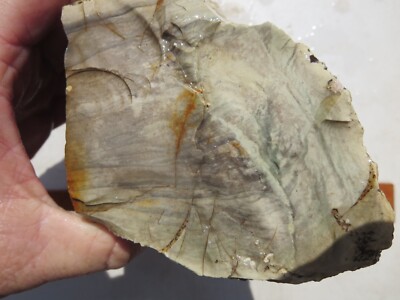 2712 BANDED JASPER ROUGH. TAKES A GREAT POLISH. EX OLD ROCK SHOP | eBay