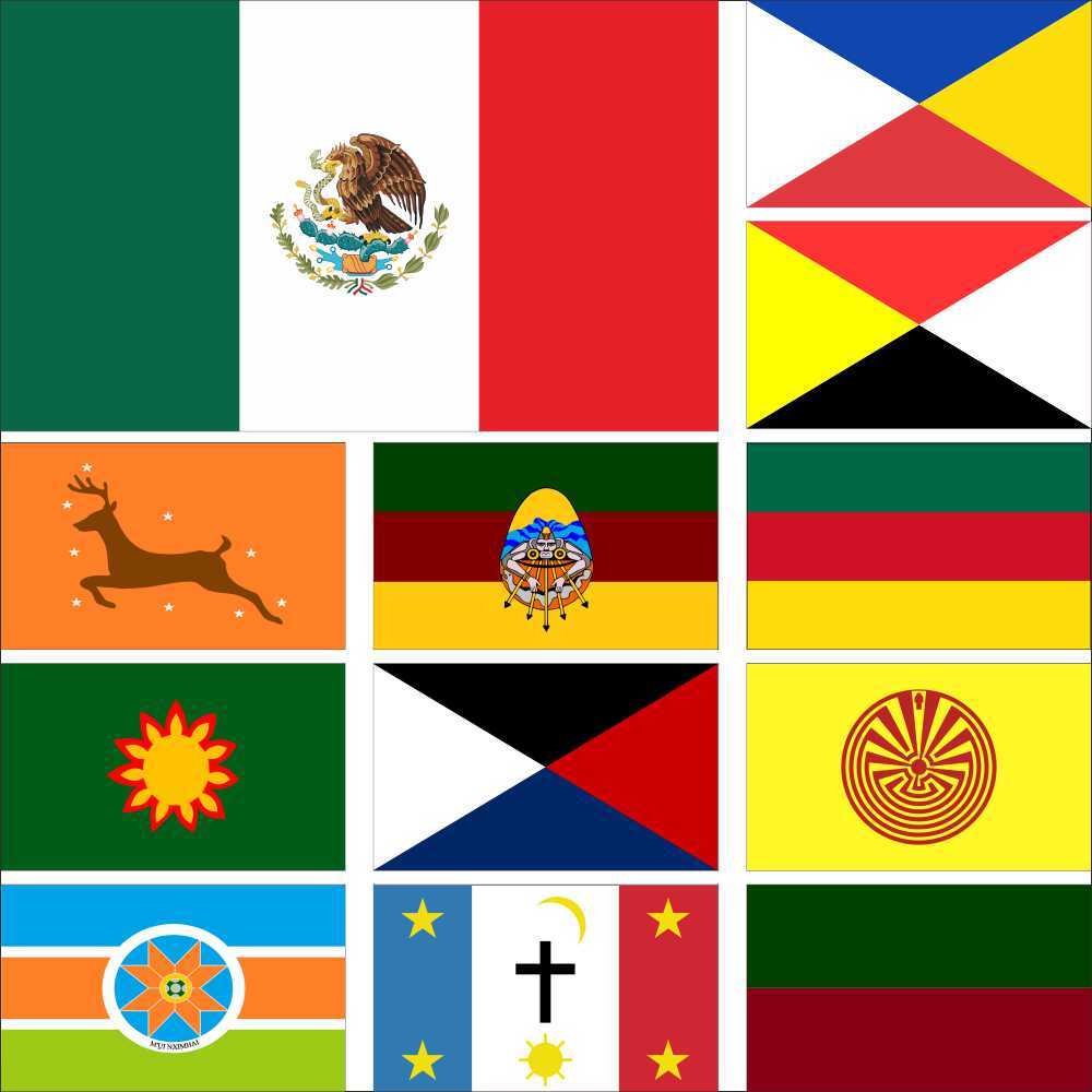 Indigenous Peoples Flag