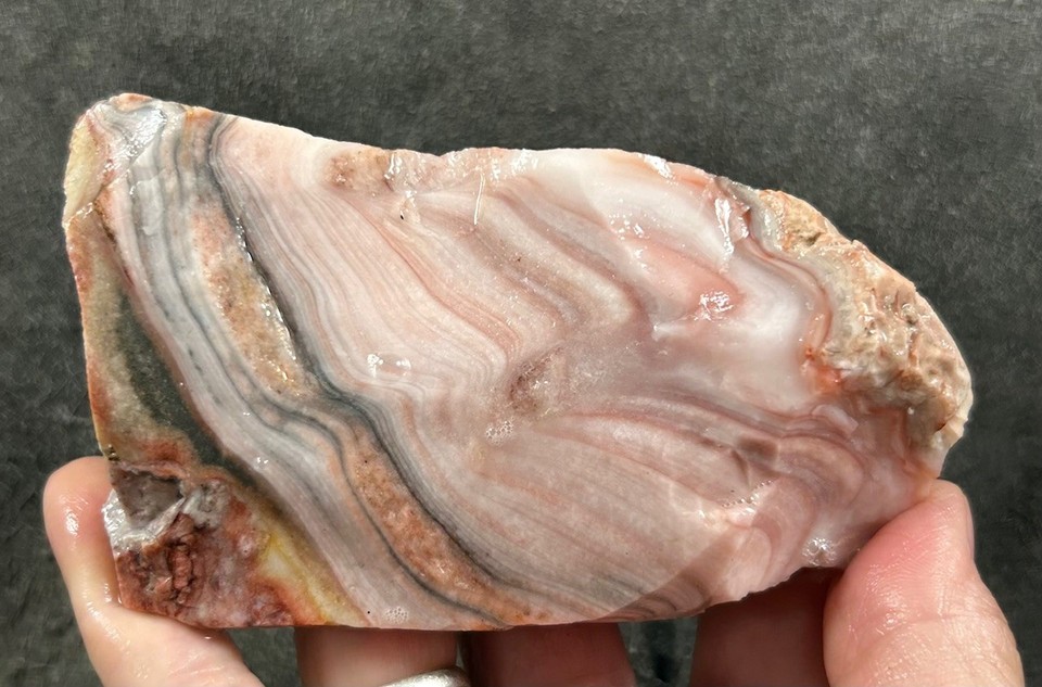 Windy Mountain Jasper End Rough - Nevada! | eBay