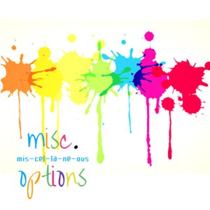 Miscellaneous Options | eBay Shops