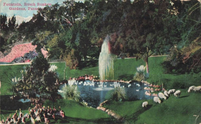 Postcard Fountain Busch Sunken Gardens Pasadena California DB | eBay