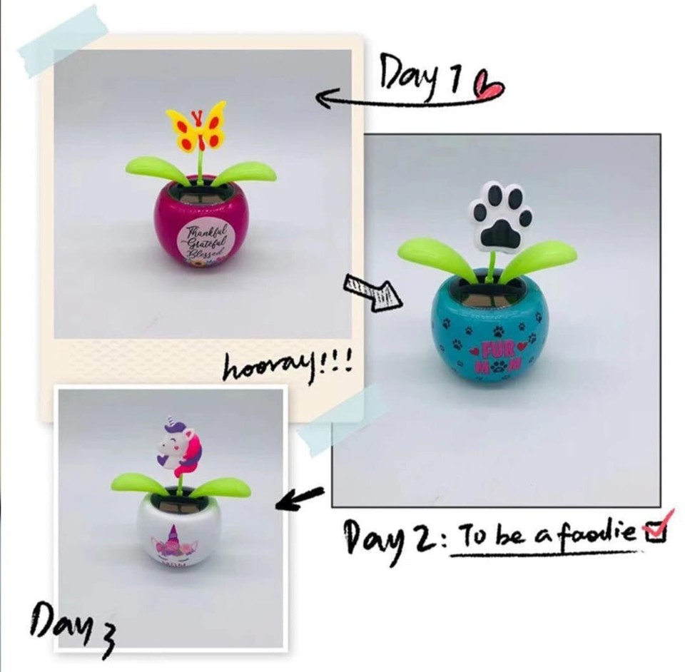 Solar Dancing Flower, Solar Powered Dancing Swinging Flower Toy ...