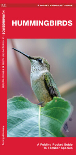 Hummingbirds: A Folding Pocket Guide to Familiar Species (Pocket ...