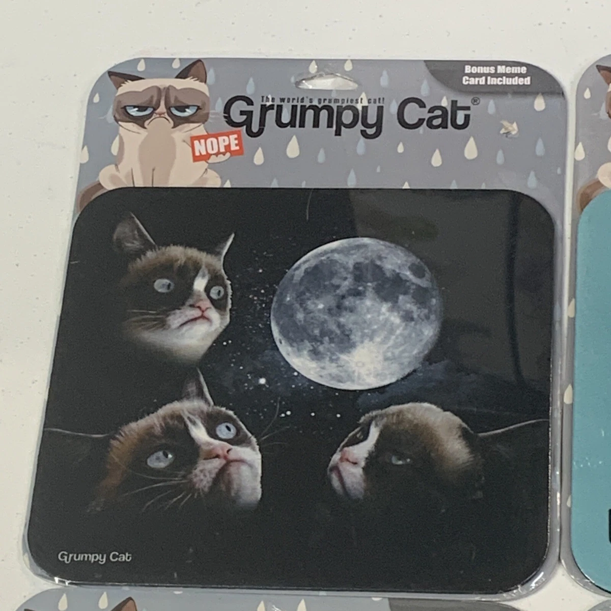 Grumpy Cat Friends