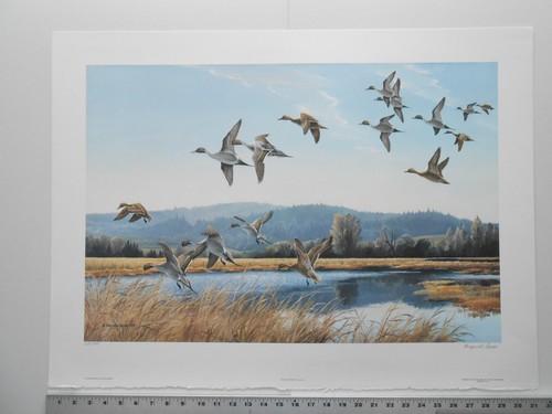 Maynard Reece THE VALLEY-PINTAILS Ltd Ed Print 670/950 FROM 1979 | eBay