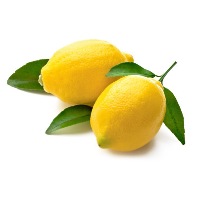 Primofiore Lemon Leaf 22.05 Lbs | eBay