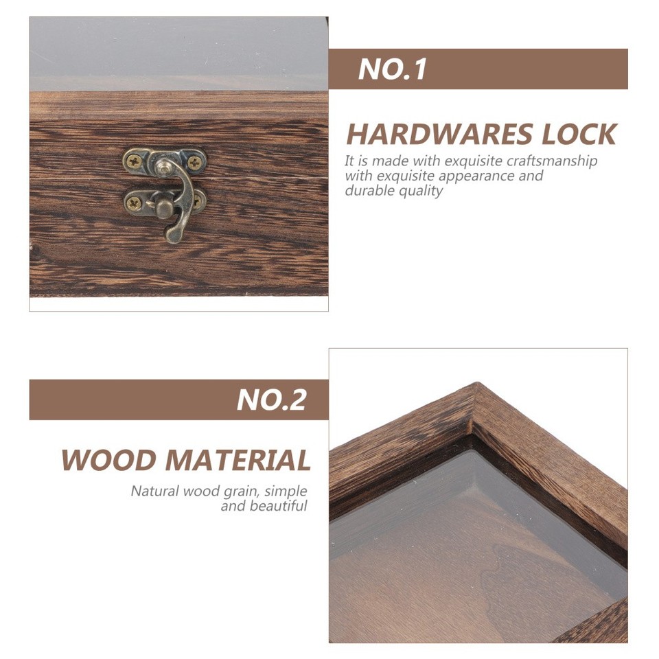 Plant Specimen Holder for Collection Model Display Case Nsect Box ...