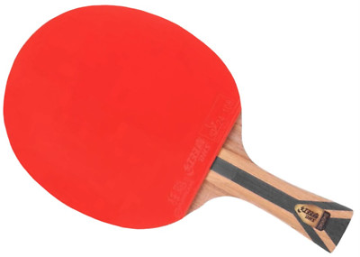 DHS Racket 7002 FL Table Tennis Professional Racket, Ships in 10 ...