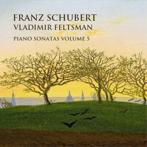 Franz Schubert Franz Schubert: Piano Sonatas - Volume 5 (CD) Album 710357638428 | eBay