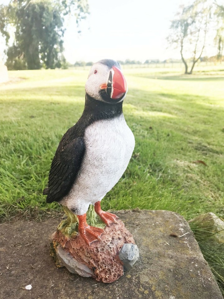 Puffin Garden Ornament Statues Sculpture Outdoor Sea Bird Figurine ...