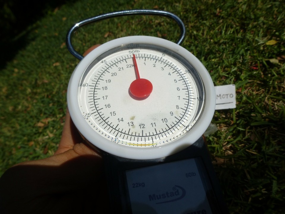 HANGING WEIGHT SCALE (w/ Tape Measure) up to 50 LBS LUGGAGE - TRAVEL ...