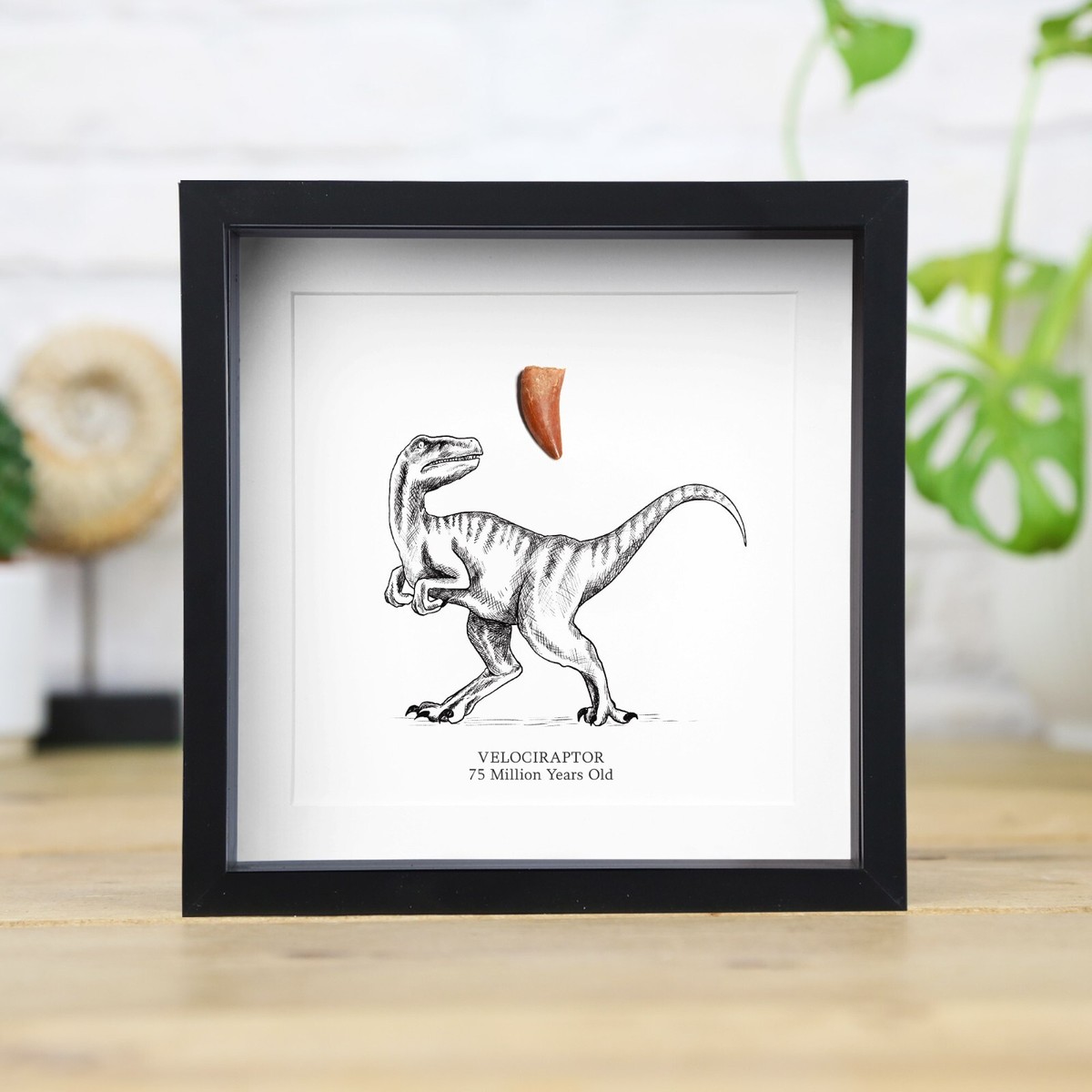 Realistic Raptor