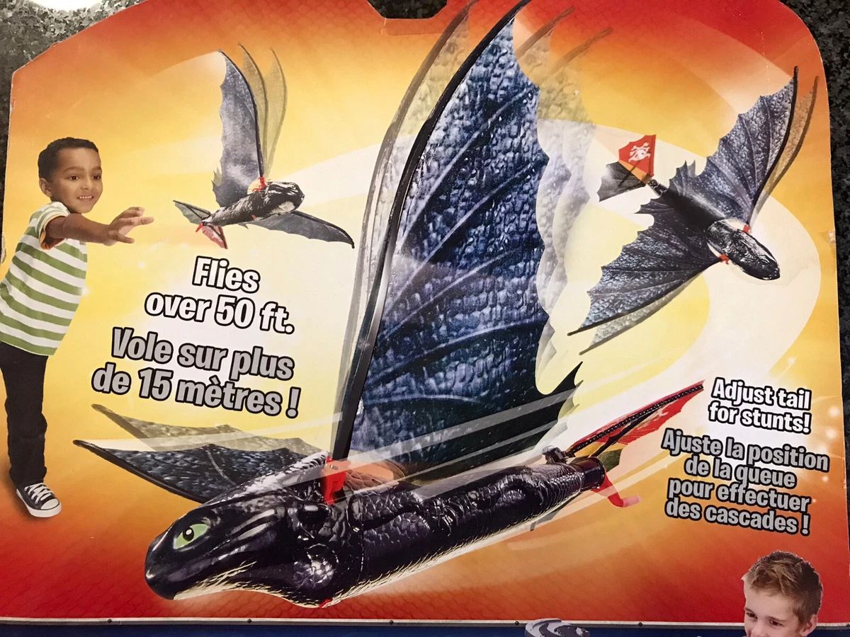 Night Fury Flying At Night