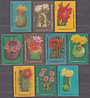 POLAND 1970 Matchbox Label PN62 Z#1010/19 set, Flowering cacti. | eBay